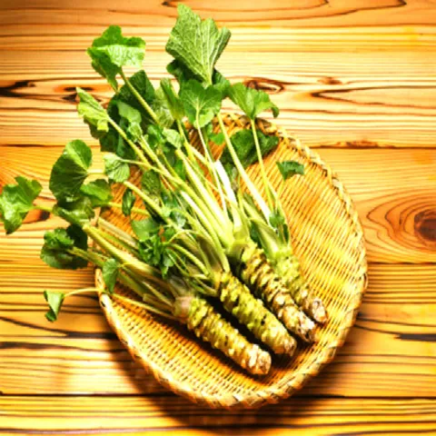 Buy 100% Pure Natural Halal Wasabi Sauce Paste from Qingdao Sunrise New ...