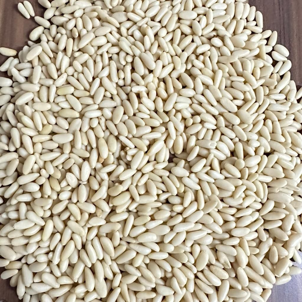 Buy Pine Nut Kernels from FOODIMPEX GIDA SANAYI ve TICARET AS, Republic of Türkiye | Tradewheel.com