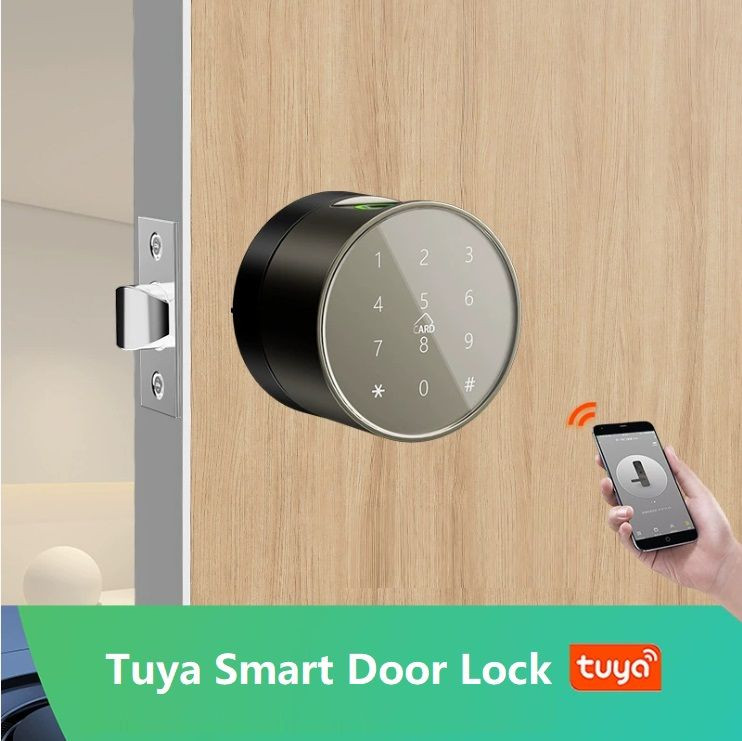 Buy Fingerprint Smart Room Ball Lock Intelligent Office Lock With App ...
