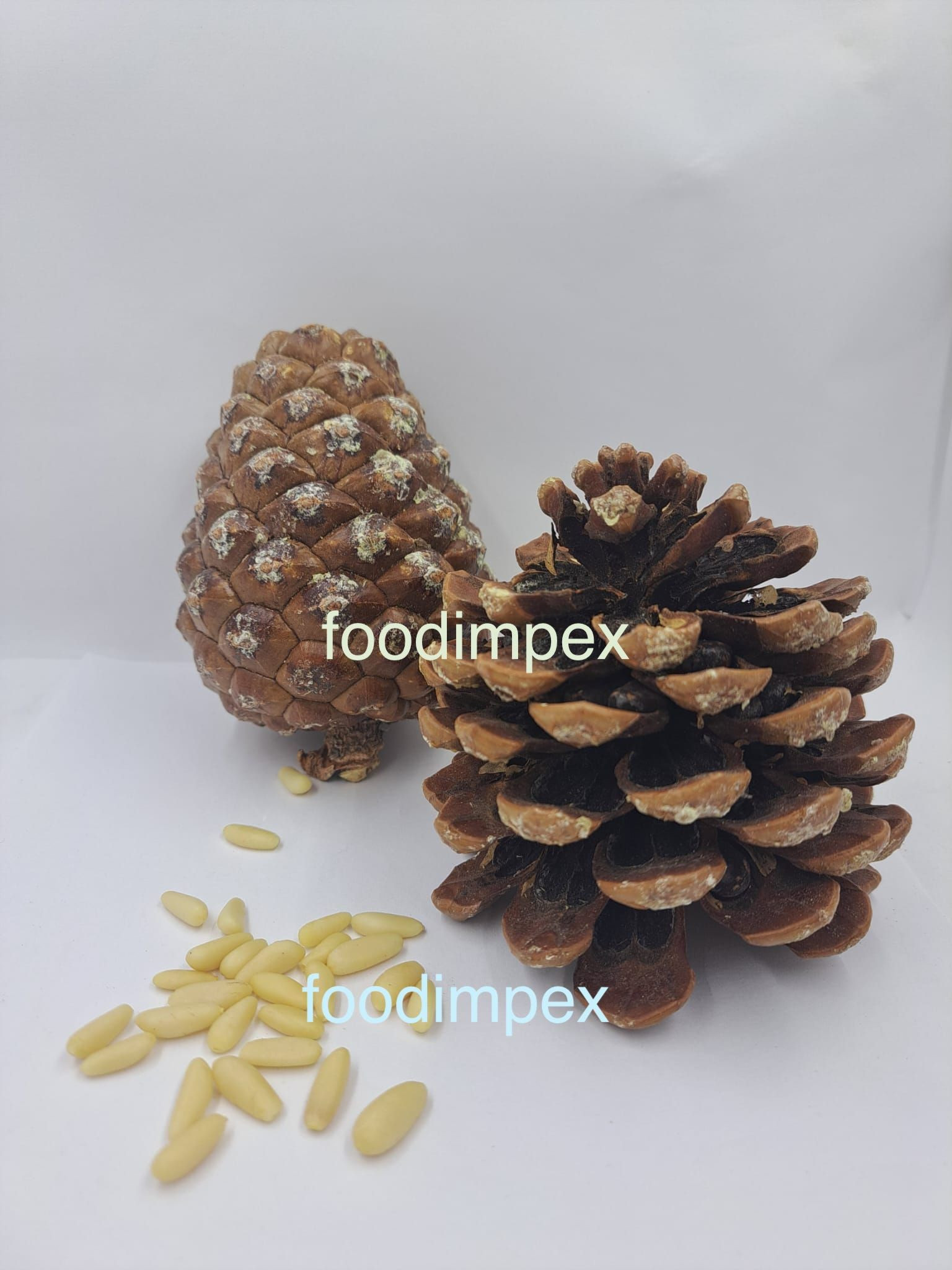 Buy Pine Nut Kernels from FOODIMPEX GIDA SANAYI ve TICARET AS, Republic ...