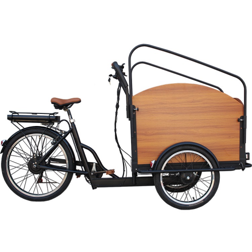 Buy Electric Adult Cargo Tricycle from Guangzhou Nuoxi Technology Co ...