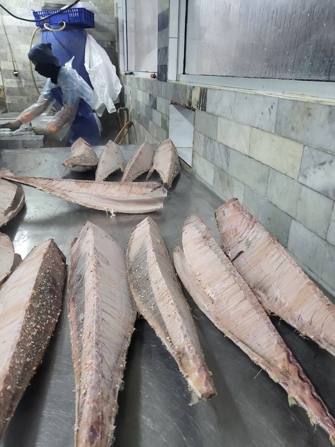 Buy Frozen Yellowfin Loin (natural) from PT AGRO TUNGGAL NUSANTARA ...