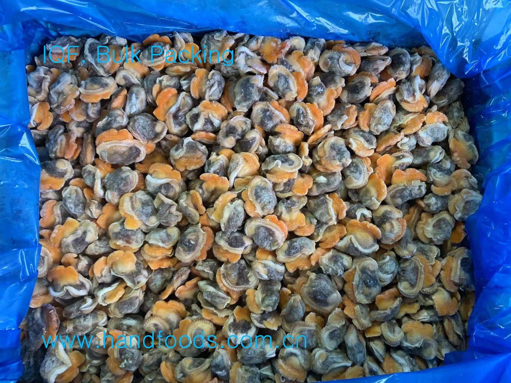 Buy Frozen Cooked Arkshell Meat from Hand Foods (Dalian) Co., Ltd ...