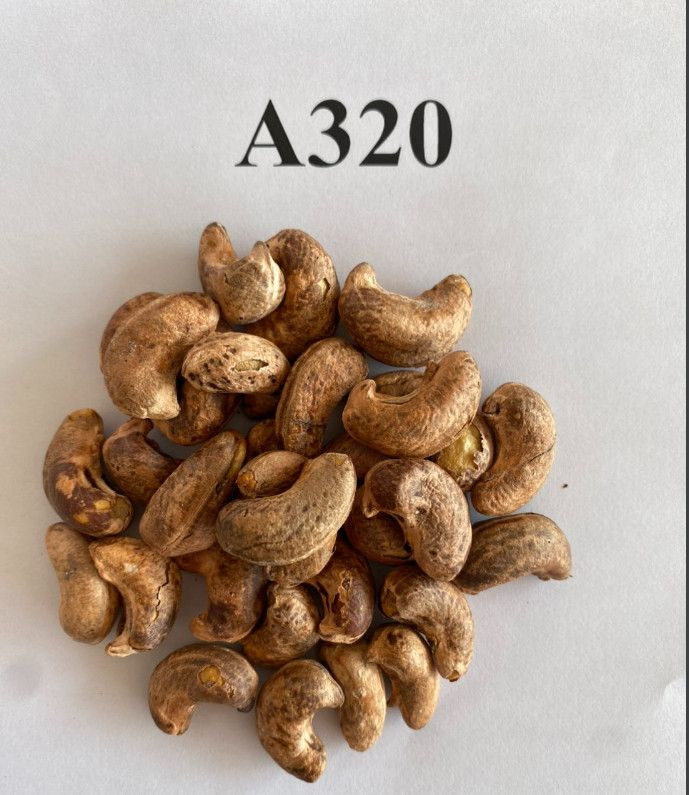 Buy Roasted Cashew Nuts With Skin From Vietnam from ND Group Import ...