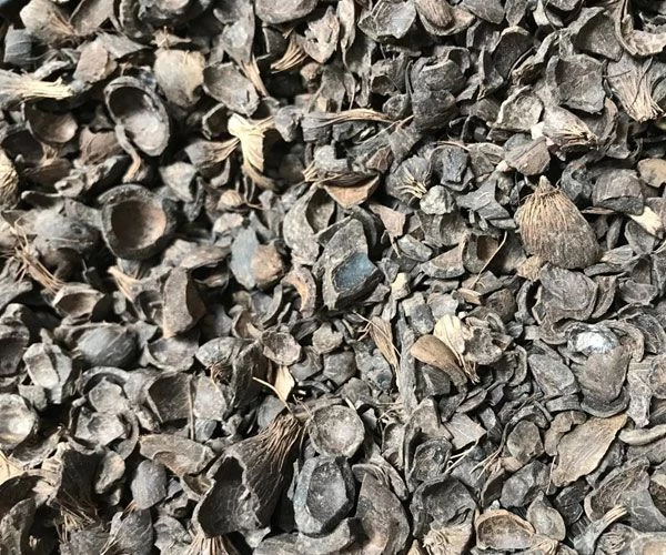 Buy Palm Kernel Shell from Company - Mr.foo, Malaysia | Tradewheel.com
