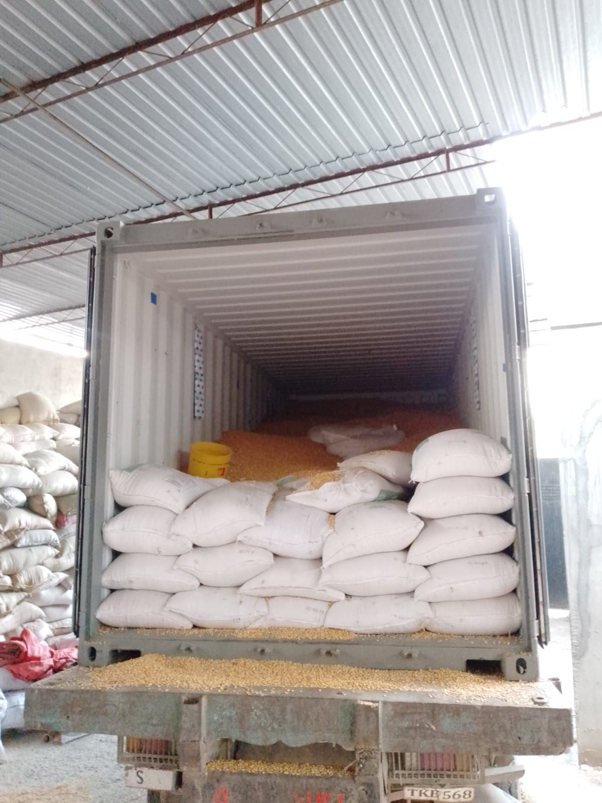 Buy Corn/ Maize from zamin enterprises, Pakistan | Tradewheel.com