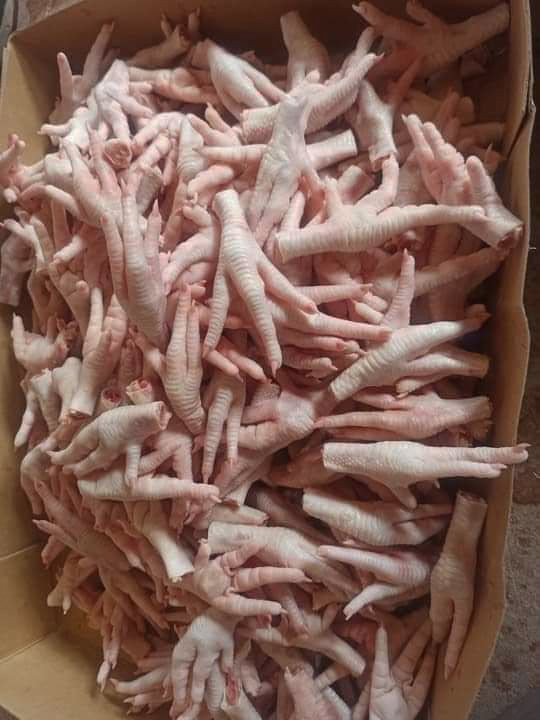 Buy Frozen Chicken Paws from ACRO IFC & Co.,, Pakistan | Tradewheel.com
