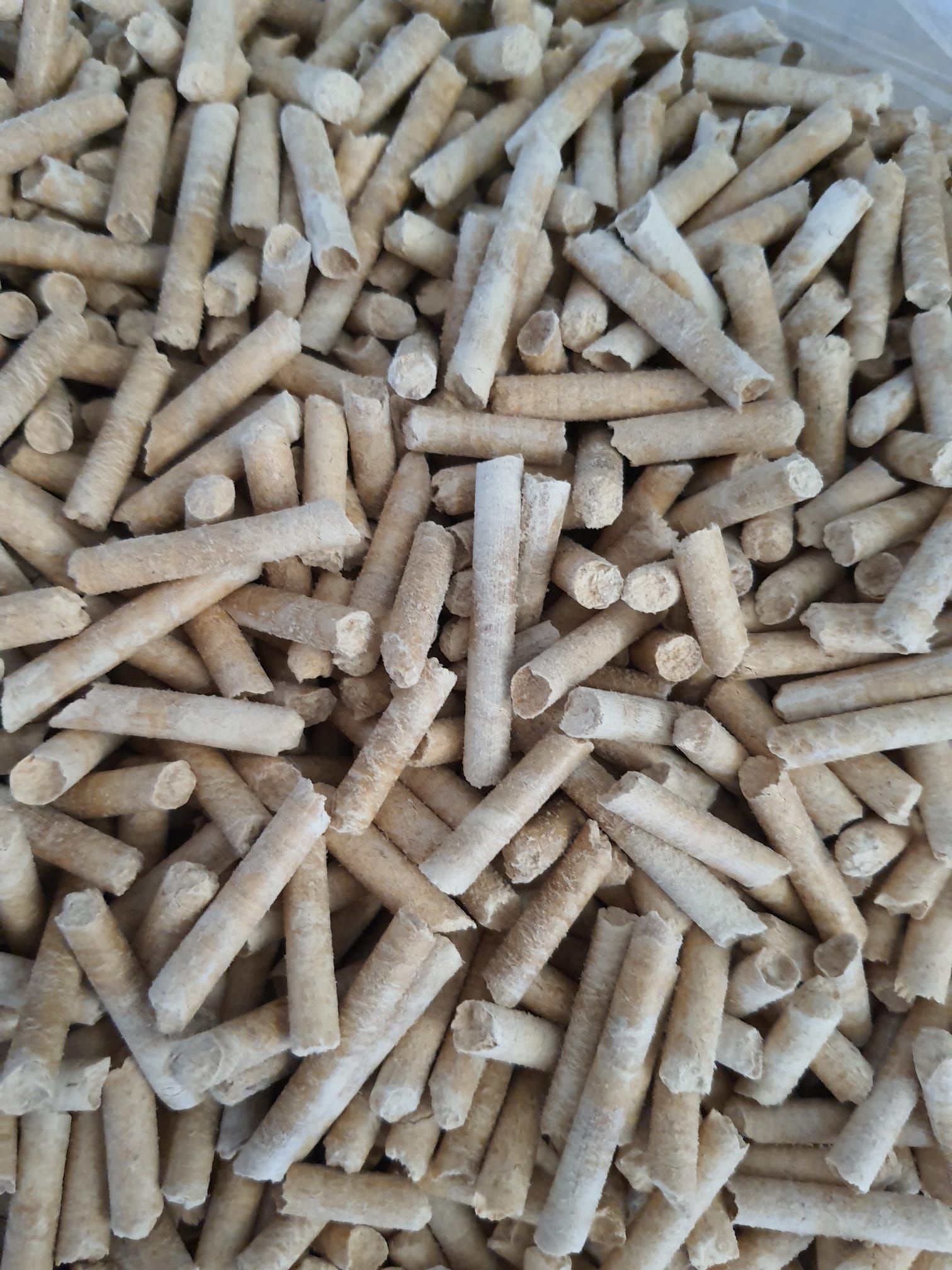Buy Pellet from Pino Pellet, Republic of Türkiye | Tradewheel.com