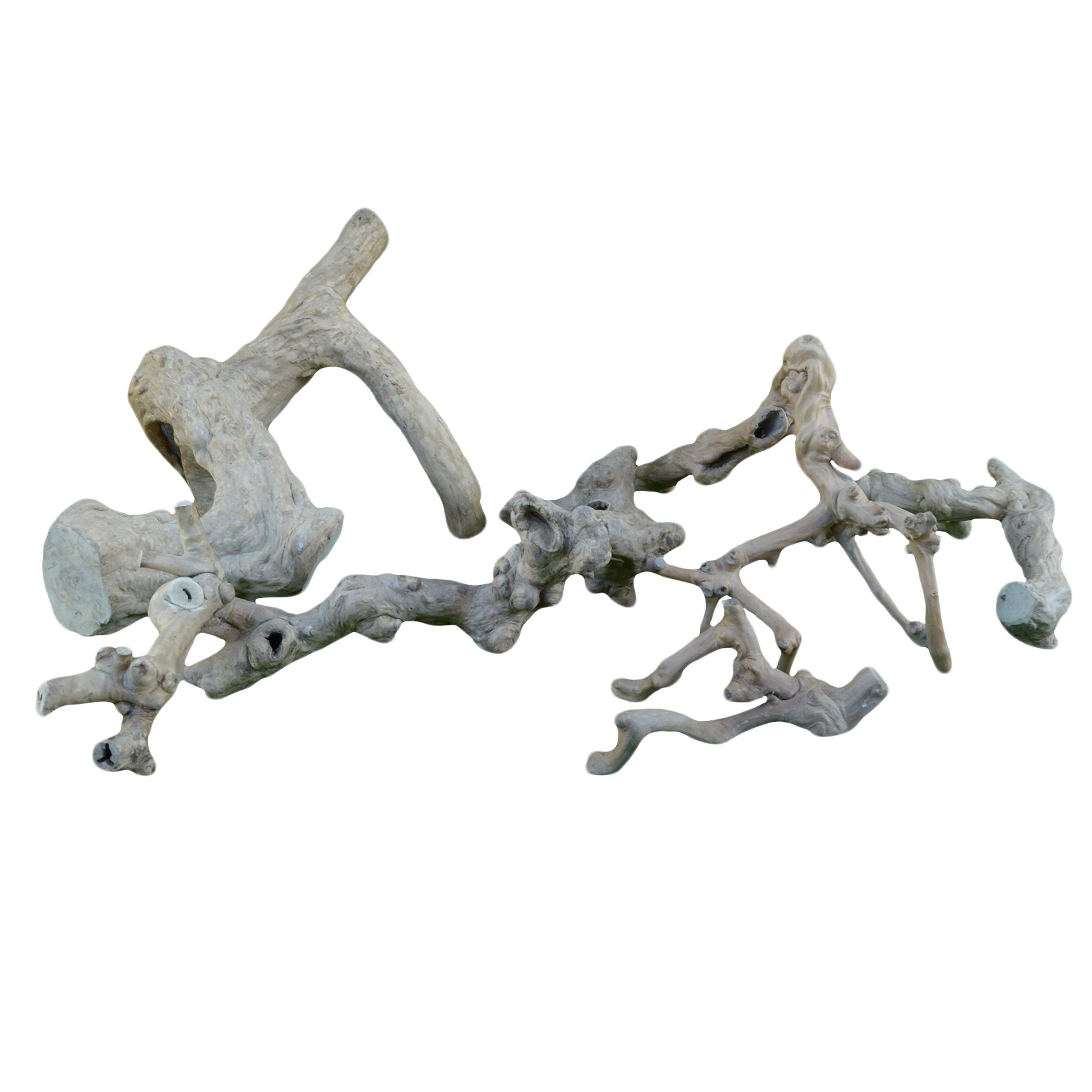 Buy Coffee Root Wood (all Size) For Jungle Reptile, Vivariums Reptile ...