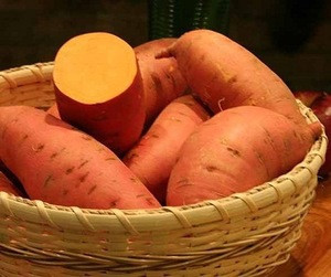 Buy Best Quality Fresh Starch Of Sweet Potato, Extracted Powder from ...