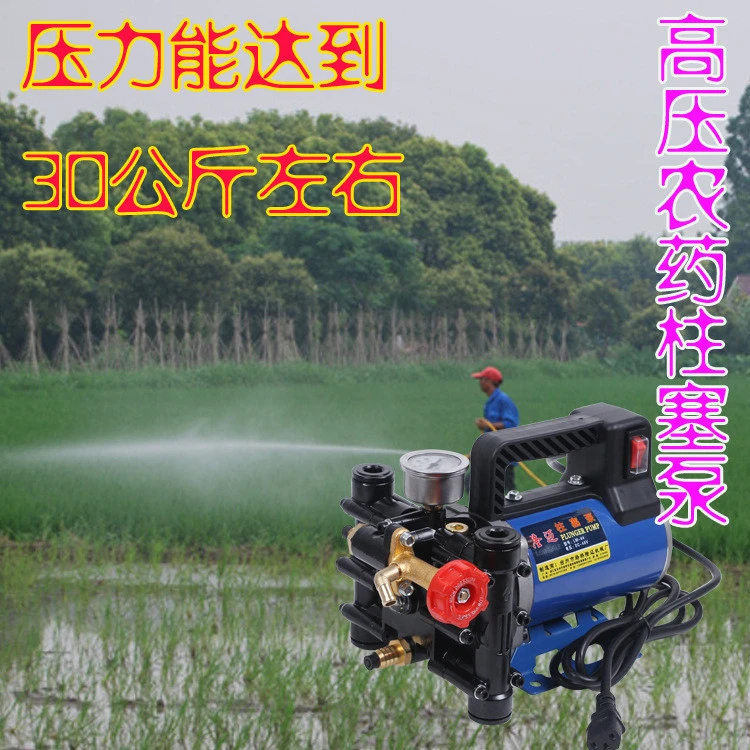 Buy Fy Portable 12v Sprayer Agricultural Electric Fruit Tree Sprayer ...