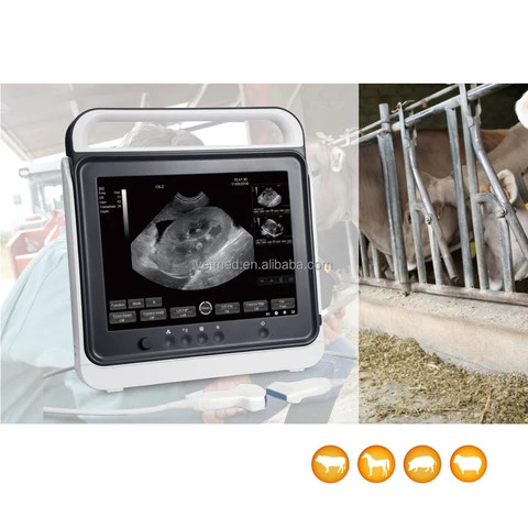 Buy Pt50a Veterinary Ultrasound Portable Ultrasound Machine Veterinary ...