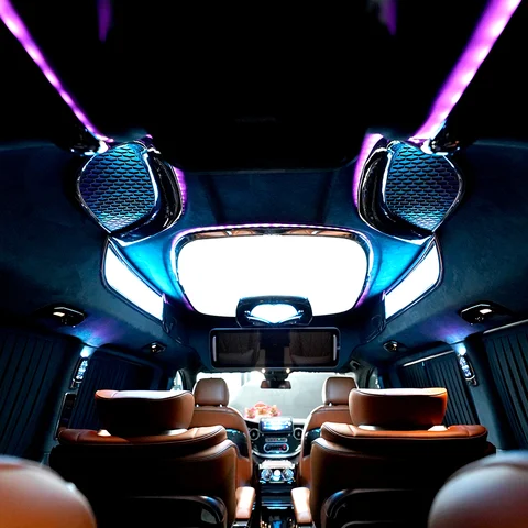 Buy W447 Front Roof Light Car Interior Led Dome Light Fitting ...