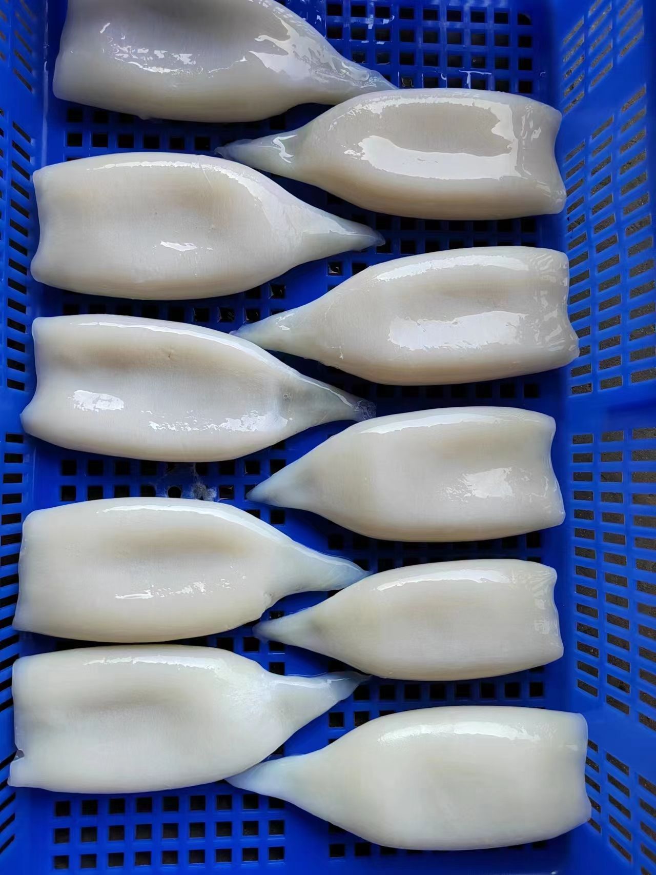 Buy Frozen Squid Tube from Yantai East Food Storage CO., ltd, China ...