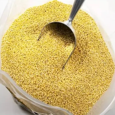 Buy Animal Feed Supplier Of Millet/barley/maize/wheat Seeds from Vinit ...