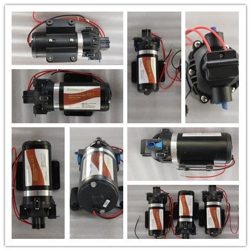 Buy Road Roller Water Pump, Sprinkler Pump, 12v Water Pump, 24v Water ...