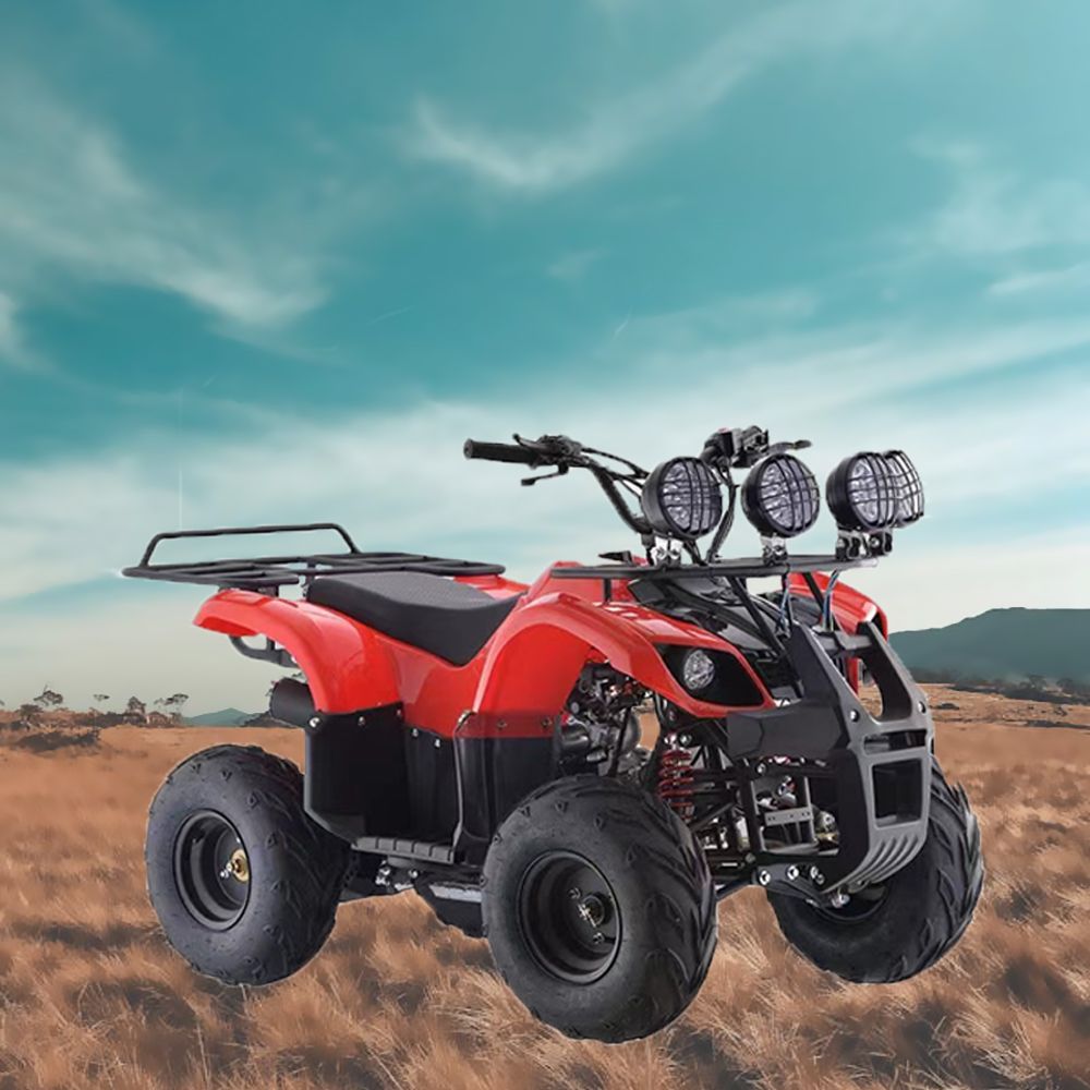 Buy 50cc Mini Four Wheeler – Kids Gas Quad Bike With Disc Brakes And 4 ...