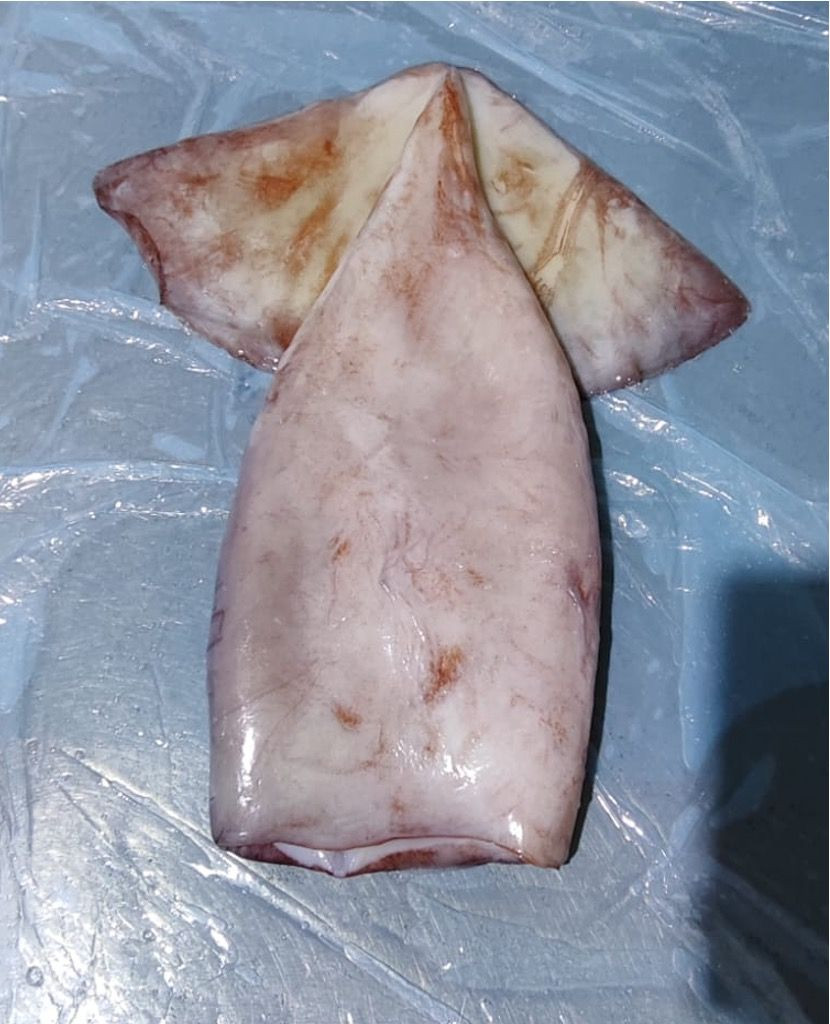 Buy Premium Peruvian Giant Squid Wings And Tube from Pesquera ...