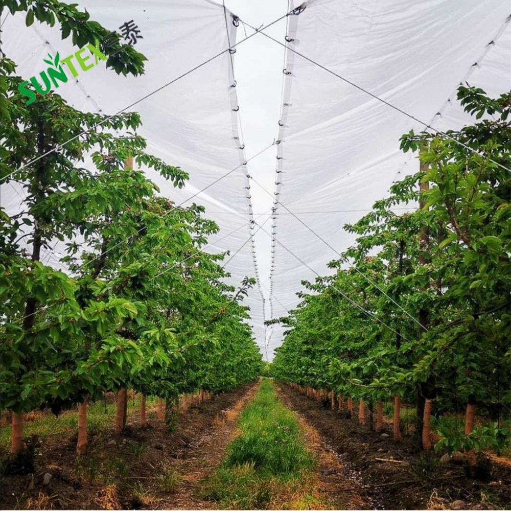 Buy 120gsm Uv Resistance Woven Fabric Clear Plastic Cover Sheeting ...