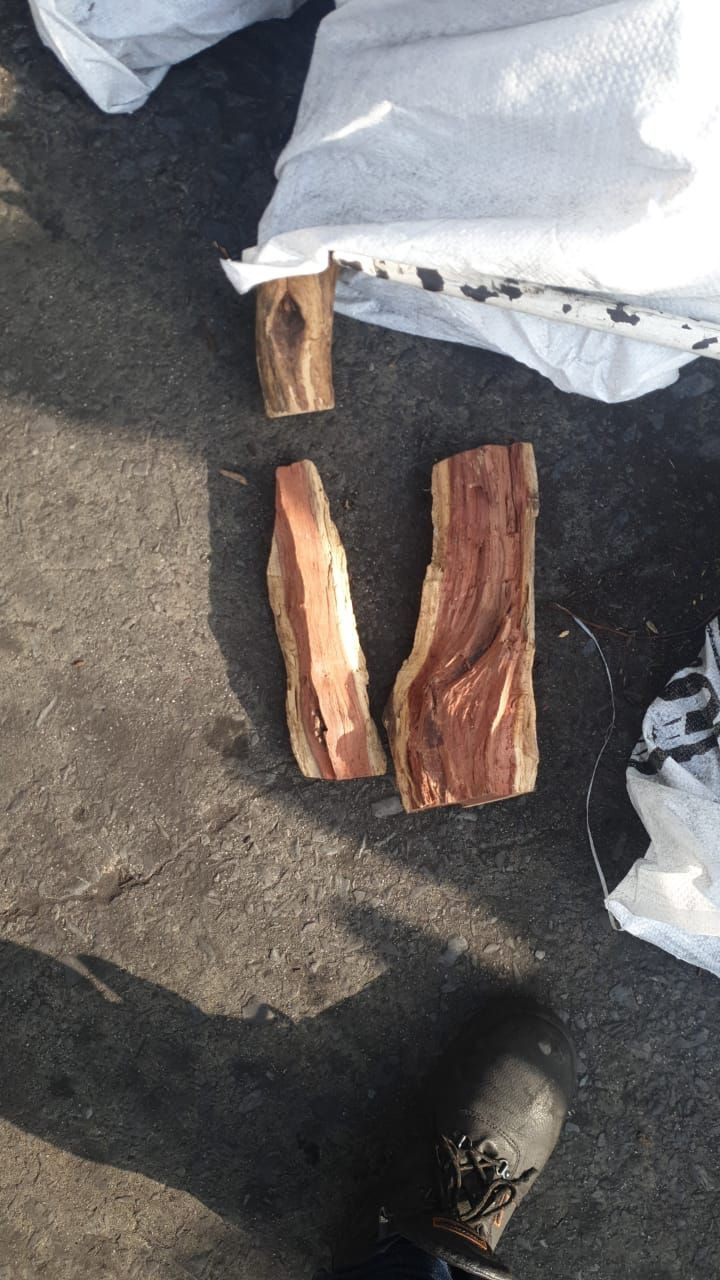 Buy Camelthorn Wood from Polvi Investment cc, Namibia | Tradewheel.com