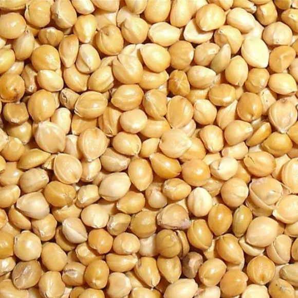 Buy Animal Feed Supplier Of Millet/barley/maize/wheat Seeds from Vinit ...