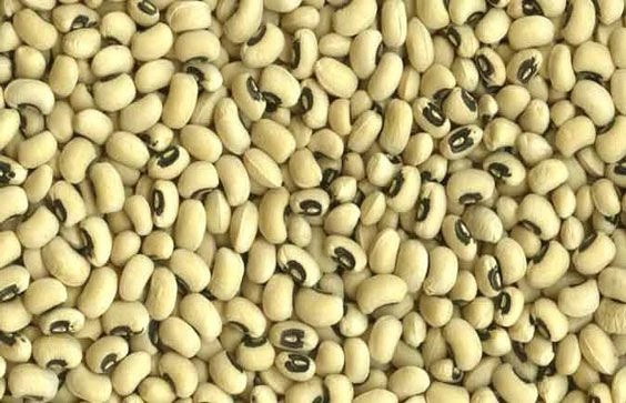 Buy Bulk Natural Dried Cow Peas Kidney Beans from Wintercorn Import ...