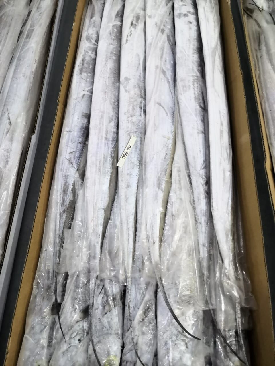 Buy Ribbon Fish from tropical Fresh n Frozen, USA | Tradewheel.com