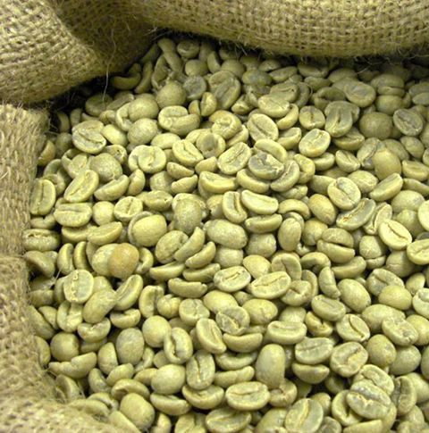 Buy Mendaling Arabica Grade 1 from Herman Hofland. CV, Indonesia ...