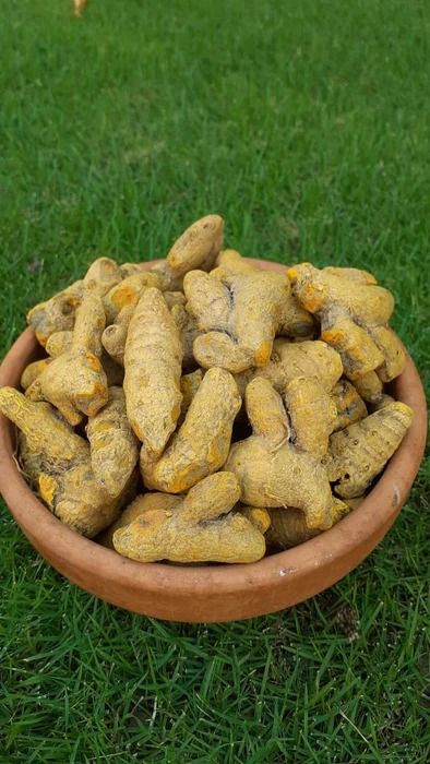 Buy Premium Dry Turmeric from Afrivet Trading Services, USA ...