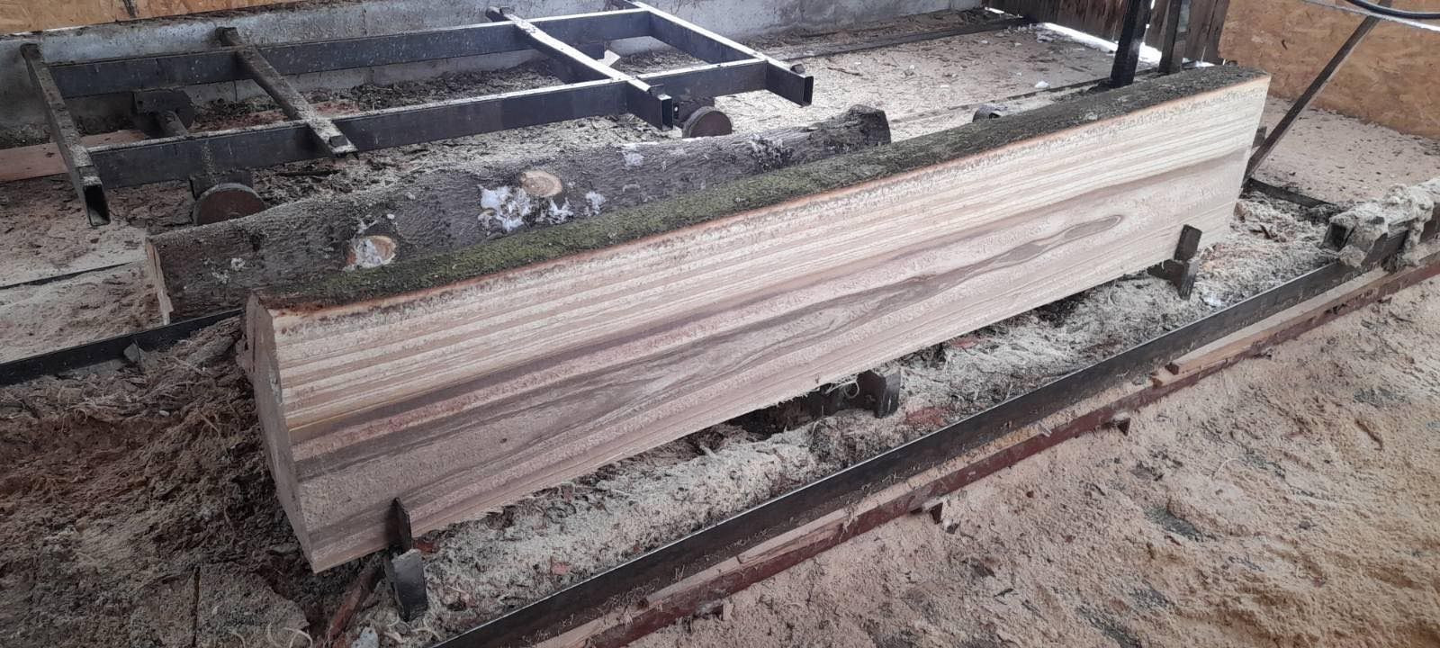 Buy Paulownia Logs from Nikri LTD, Bulgaria | Tradewheel.com