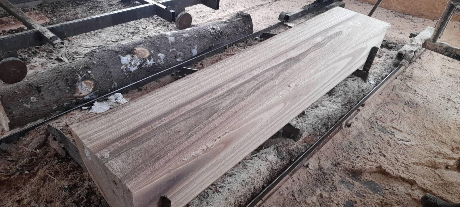 Buy Paulownia Logs from Nikri LTD, Bulgaria | Tradewheel.com