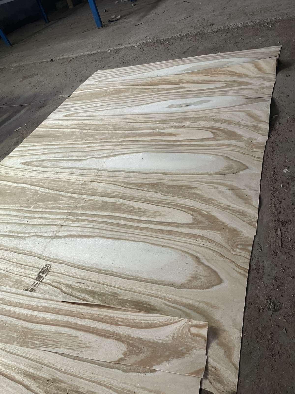 Buy Paulownia Logs from Nikri LTD, Bulgaria | Tradewheel.com
