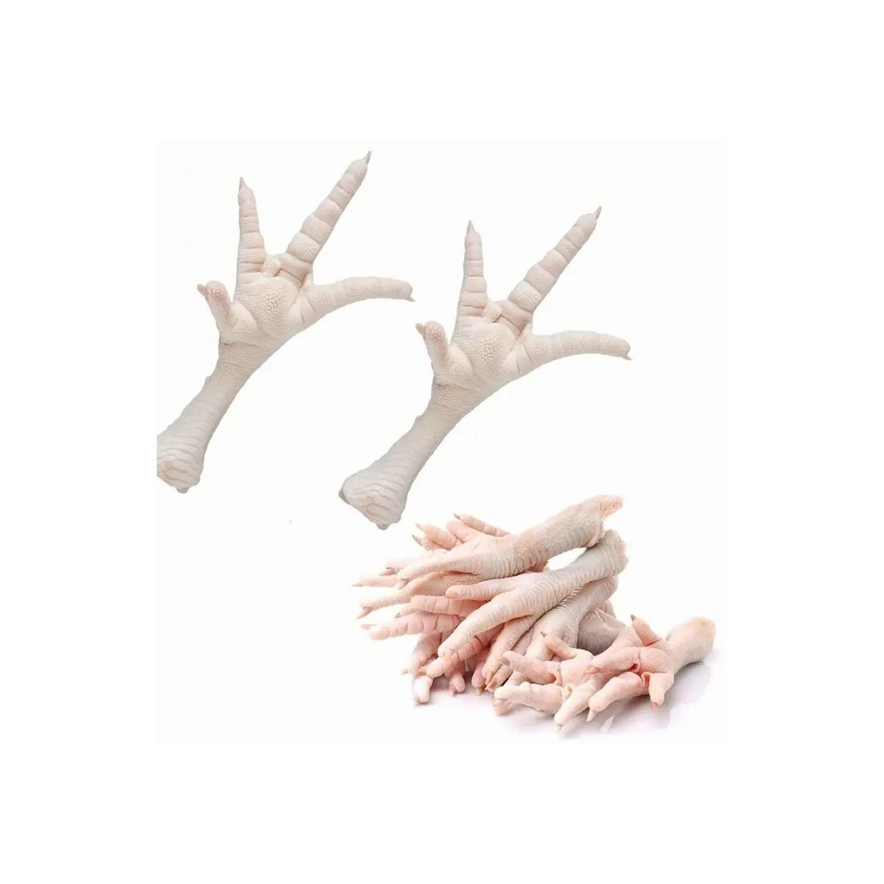 Buy Chicken Paws Frozen from Kertland KFT, Hungary | Tradewheel.com