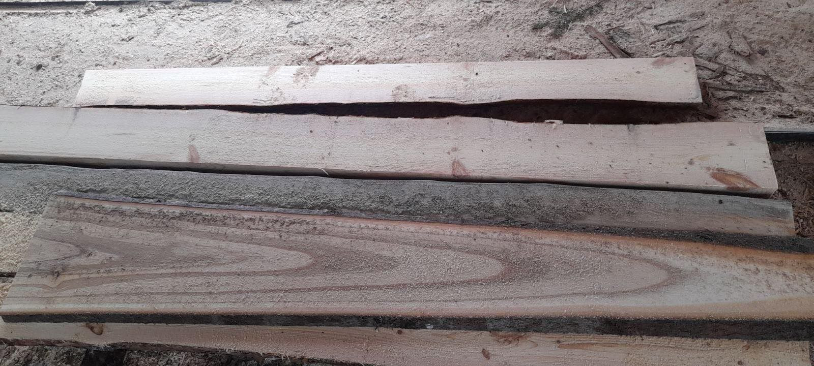 Buy Paulownia Logs from Nikri LTD, Bulgaria | Tradewheel.com