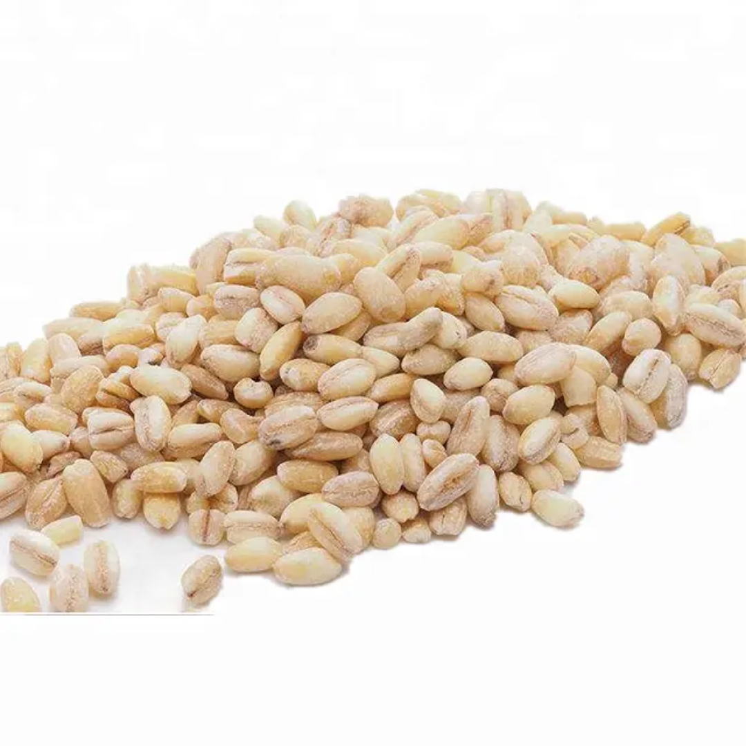 Buy Wholesale Premium Quality Grains Wheat from Shandong Commercial ...
