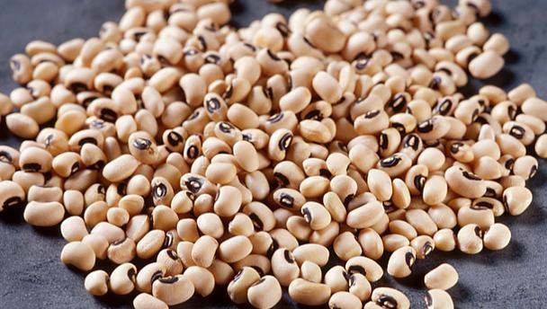 Buy Bulk Natural Dried Cow Peas Kidney Beans from Wintercorn Import ...