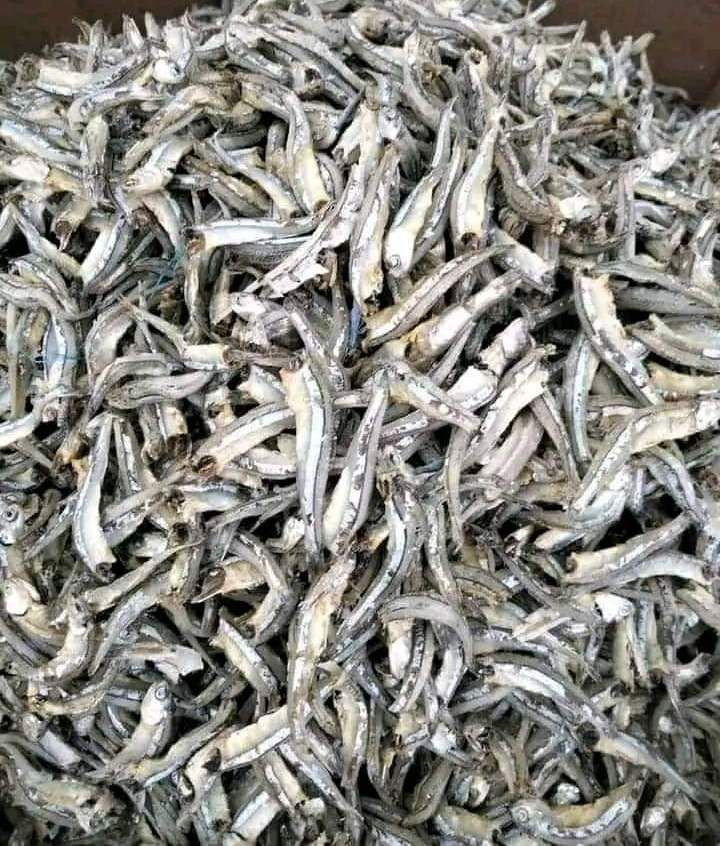 Buy Dried Anchovies from Oemara, Indonesia | Tradewheel.com