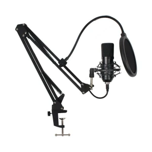 Buy Professional Microphone Set from Rongle Electronic Equipment Co ...