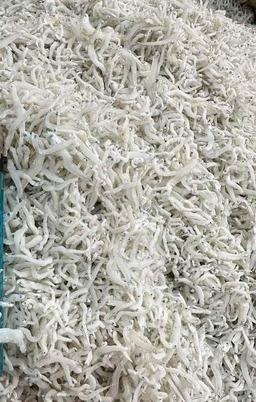 Buy Dried Anchovies from Oemara, Indonesia | Tradewheel.com