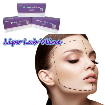 Buy Lipolab Vline Lipolysis Ppc Solution Lipodissolve Injection For ...