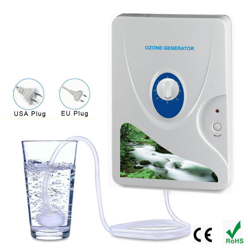 Buy 2020 Newest 600mg/h Water Food Sterilizer Ozonizer Ozonator ...