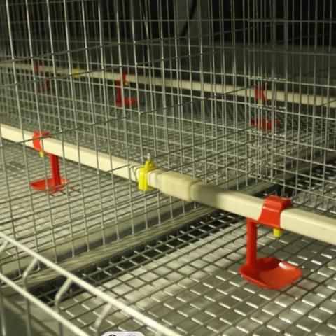 Buy Chicken Cage Fully Automatic Poultry Farm Galvanized Wire H Type ...