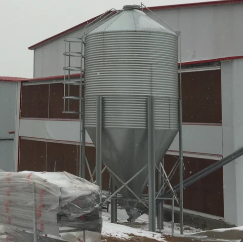 Buy Chicken Farm Silos For Sale Hot Galvanized Sheet Material 28ton ...