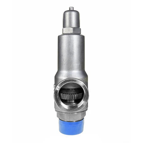 Buy Din Hydrogen Sulfide Sulfur Dioxide So2 Pressure Safety Valve Dn50 ...