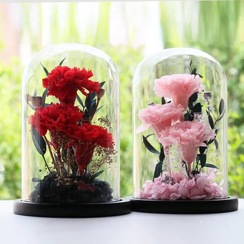 Buy Handmade Preserved Carnation And Rose Inside Glass Dome Natural ...