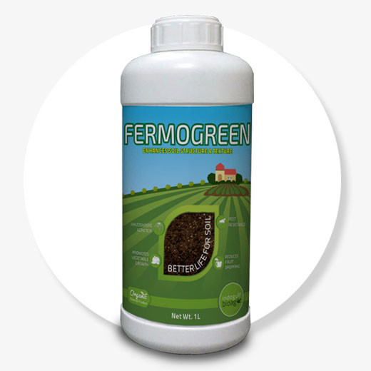 Buy Liquid Organic Fertilizer Highly Effective For Agriculture Increase ...