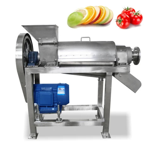 Buy Multi Functional Ginger Juice Extractor Machine Fruit Juice ...