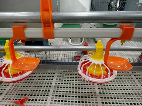 Buy New Auger Feed System For Poultry Farm Equipment Broiler Chicken ...