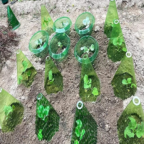 Buy Pet Pvc Plastic Premium Transparent Green Plant Mini Greenhouse ...