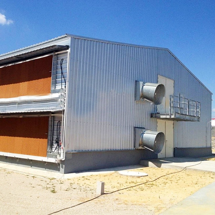 Buy Steel Buildings Prefab Chicken Farm Shed Turnkey Poultry Projects ...